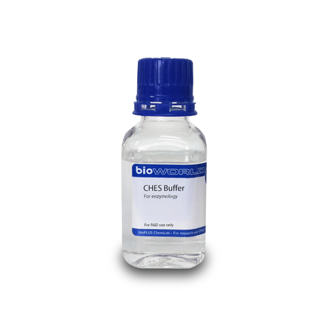 CHES Buffer 0.5M pH 10.0 – Buffers and Reagents